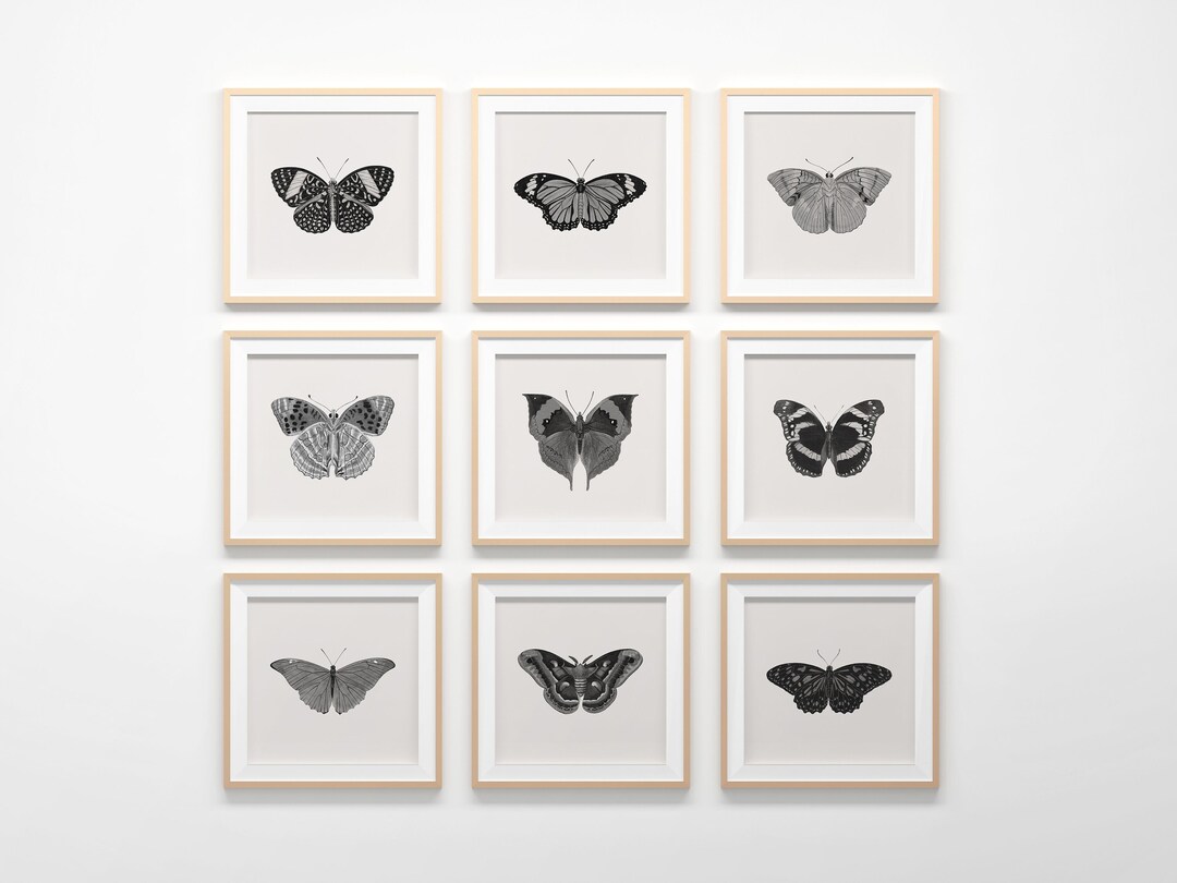 Butterfly Poster Bundle, Vintage Butterflies Prints, Retro Black ...