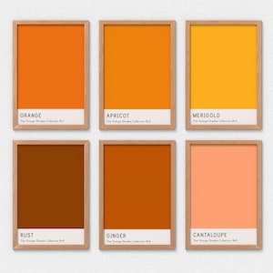 Orange Palette Hues Bundle, Color Block Print Set of 6, Orange Hues ...