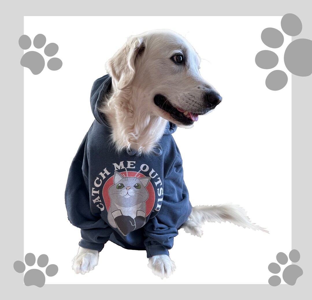 Cat Hoodie for Humans Sweatshirt Catch Me Outside Comfort - Etsy