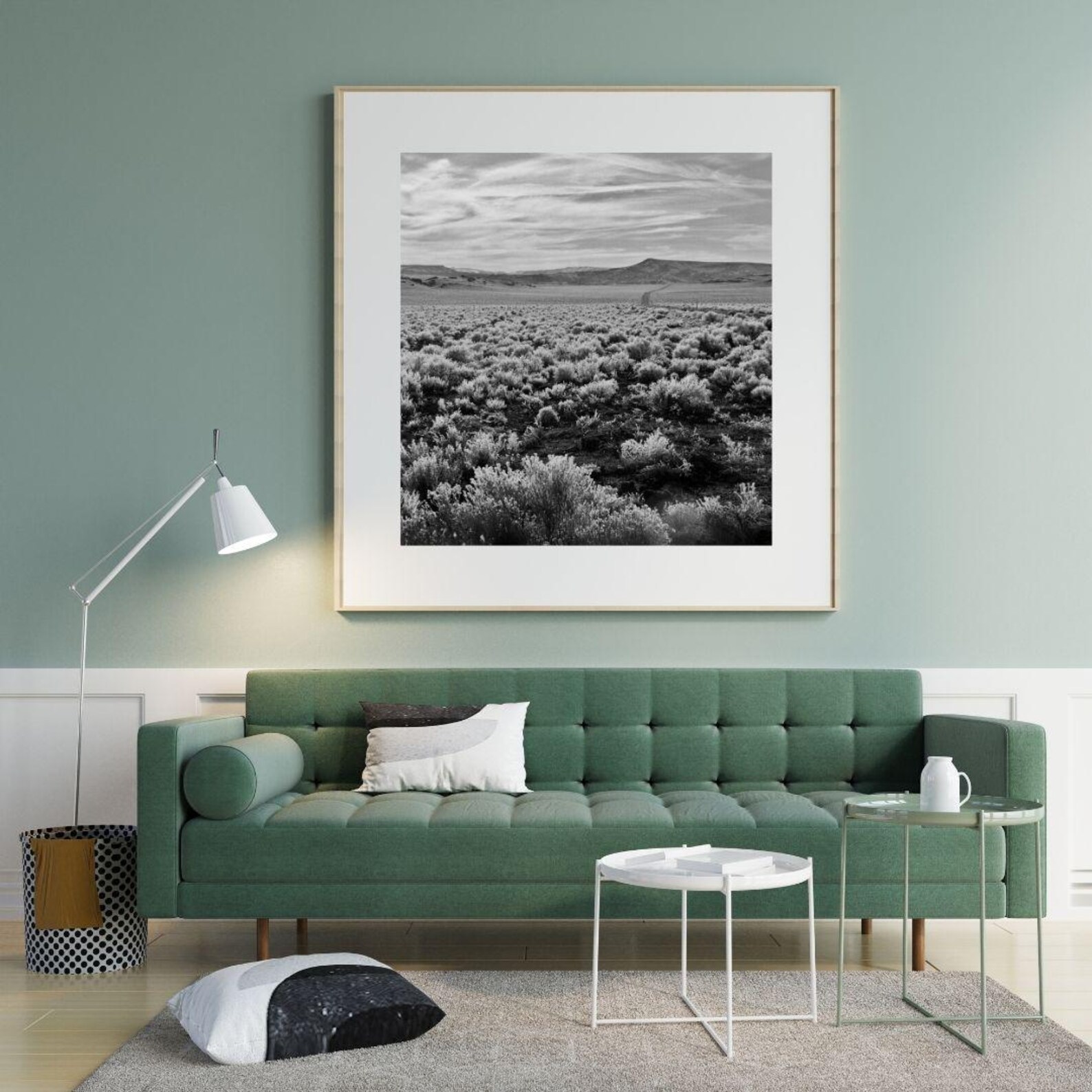 Sagebrush Frost in the Nevada Desert Black and White Nature Film ...