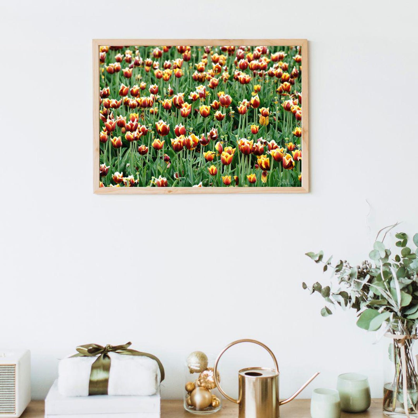 Halley's Comet Tulip Yellow and Fire Red Flower Wooden Shoe Tulip Farm ...