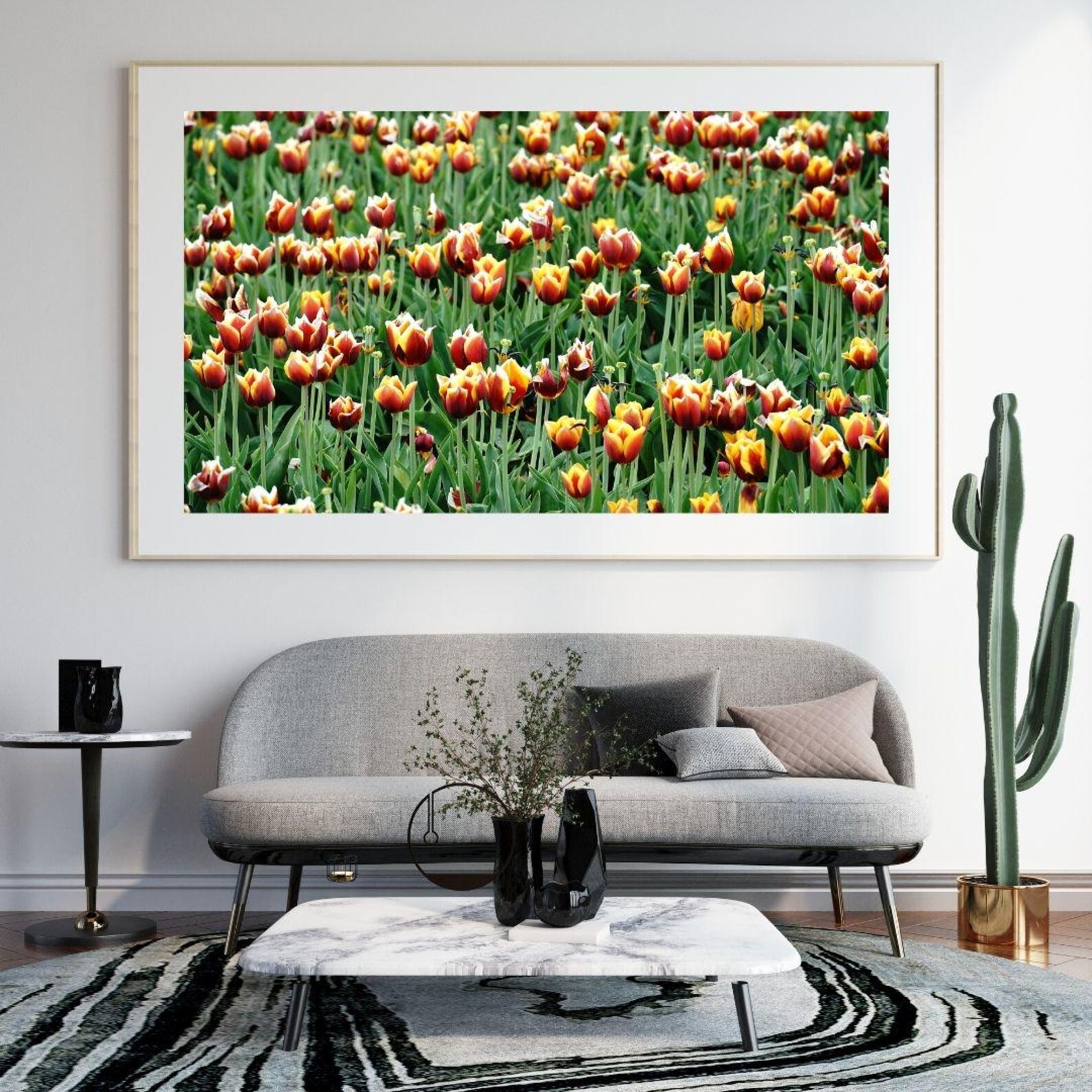 Halley's Comet Tulip Yellow and Fire Red Flower Wooden Shoe Tulip Farm ...