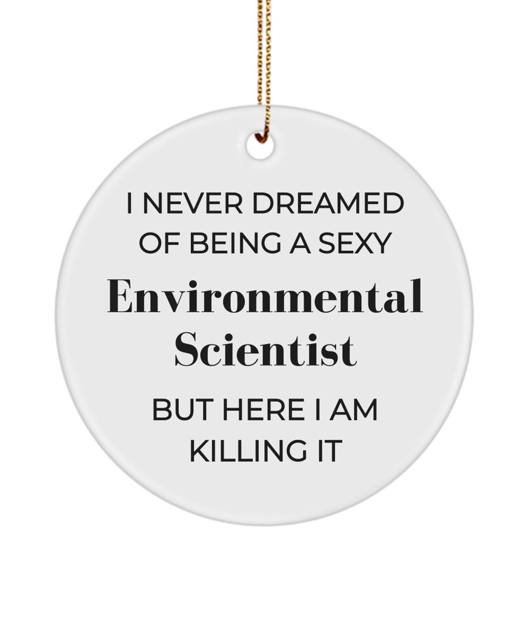 Systems Engineer Gift, Ornament Gifts Appreciation Gift, Coworker ...