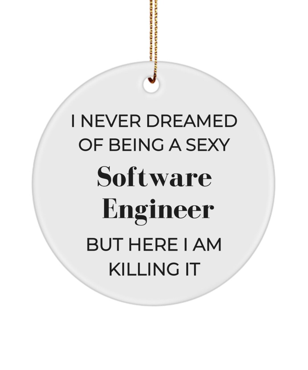 Software Engineer Gift, Ornament Gifts Appreciation Gift, Coworker Goodbye Gift, Thank You Gift ...