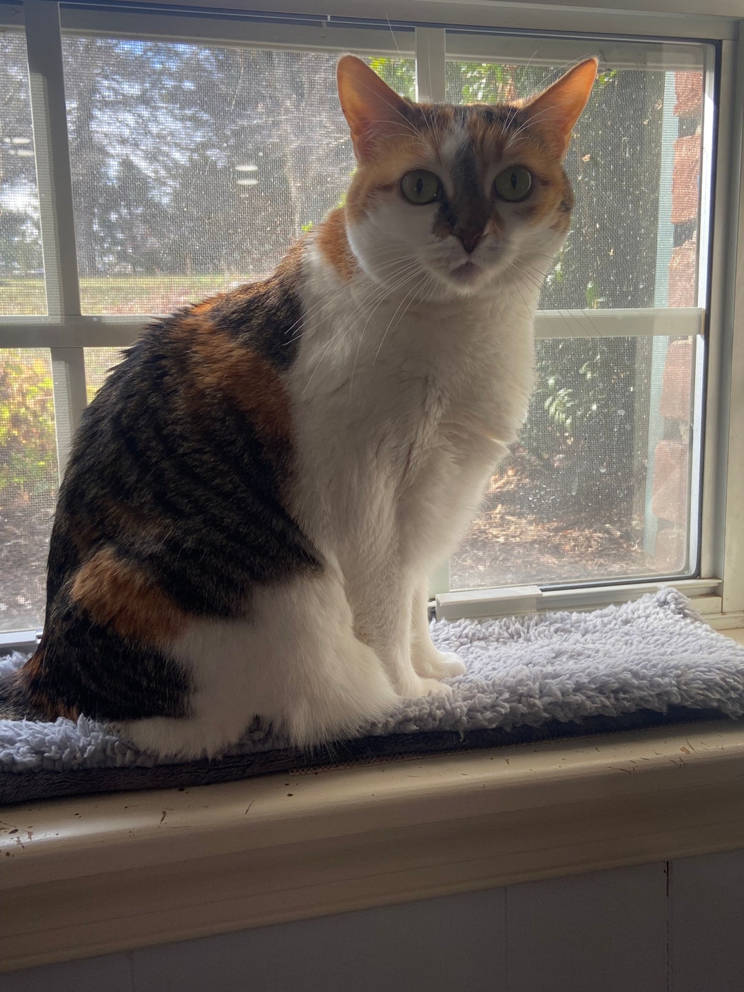 Window Sill Cat Pad/ Sill Mat/ Sill Protector Pet Pad/ Cat Window Sill ...