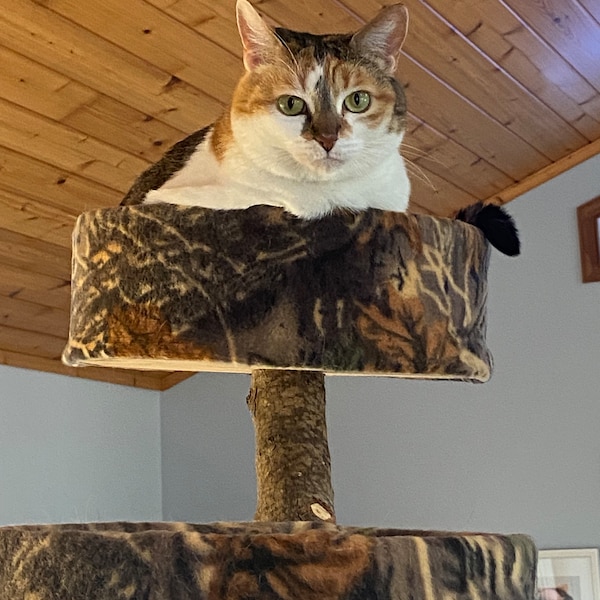 Cat Perch - Etsy