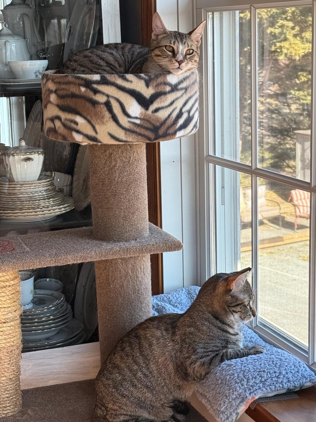 Window Sill Pet Pad/ 6” Sill Pad - Etsy