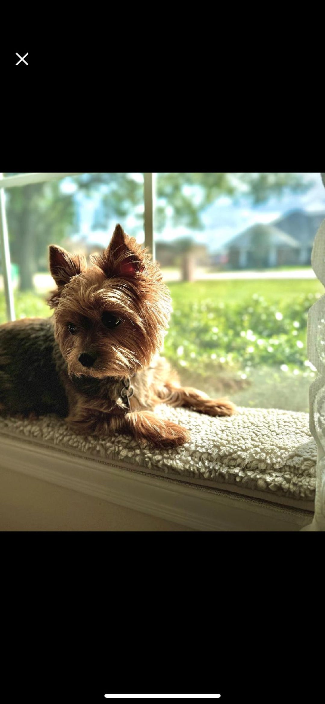 Window Sill Pad/ Window Sill Pillow/window Pad/sill Mat/ Sill Protector ...