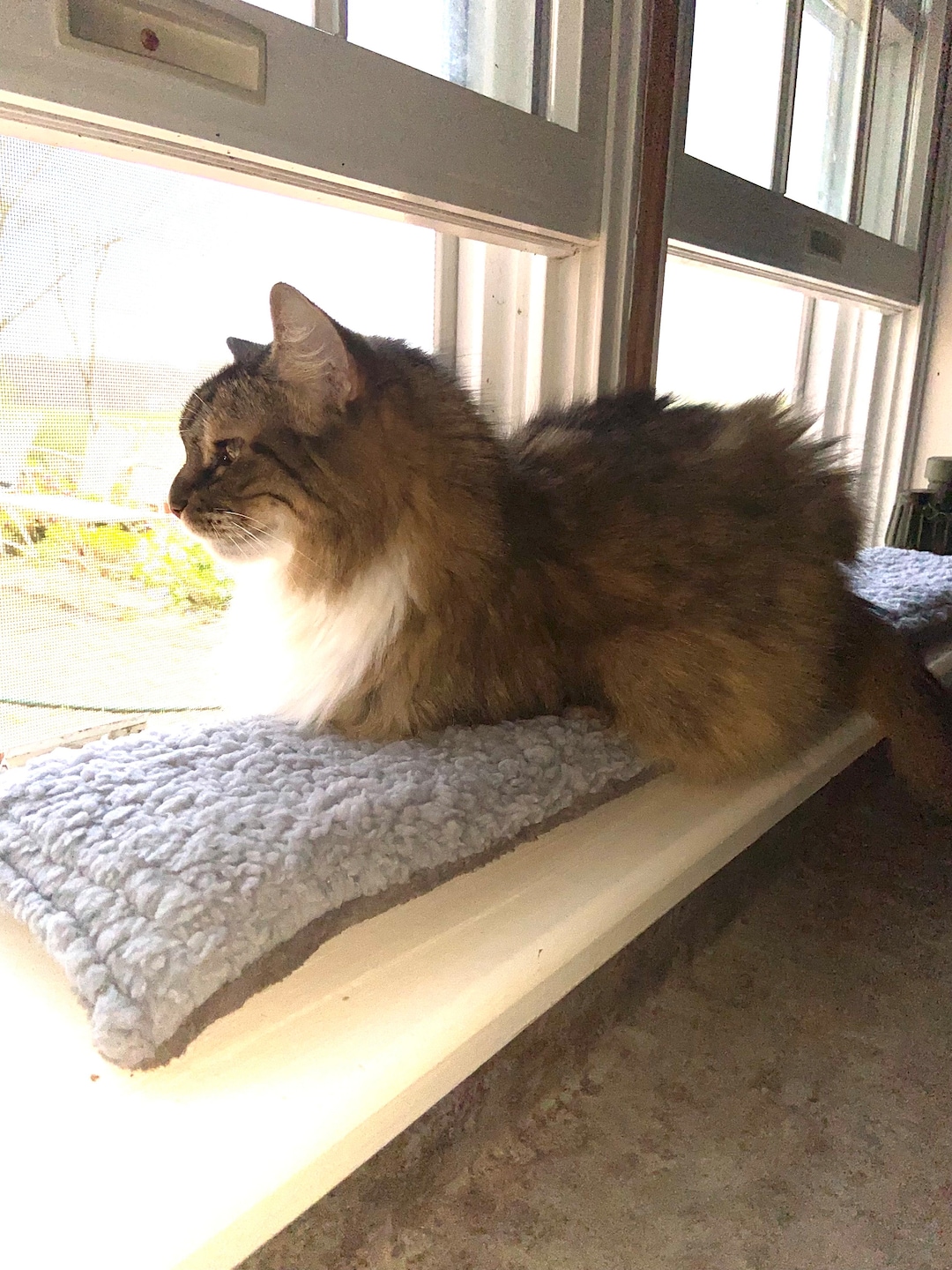 Window Sill Cat Pad/ 6 Sill Pad - Etsy