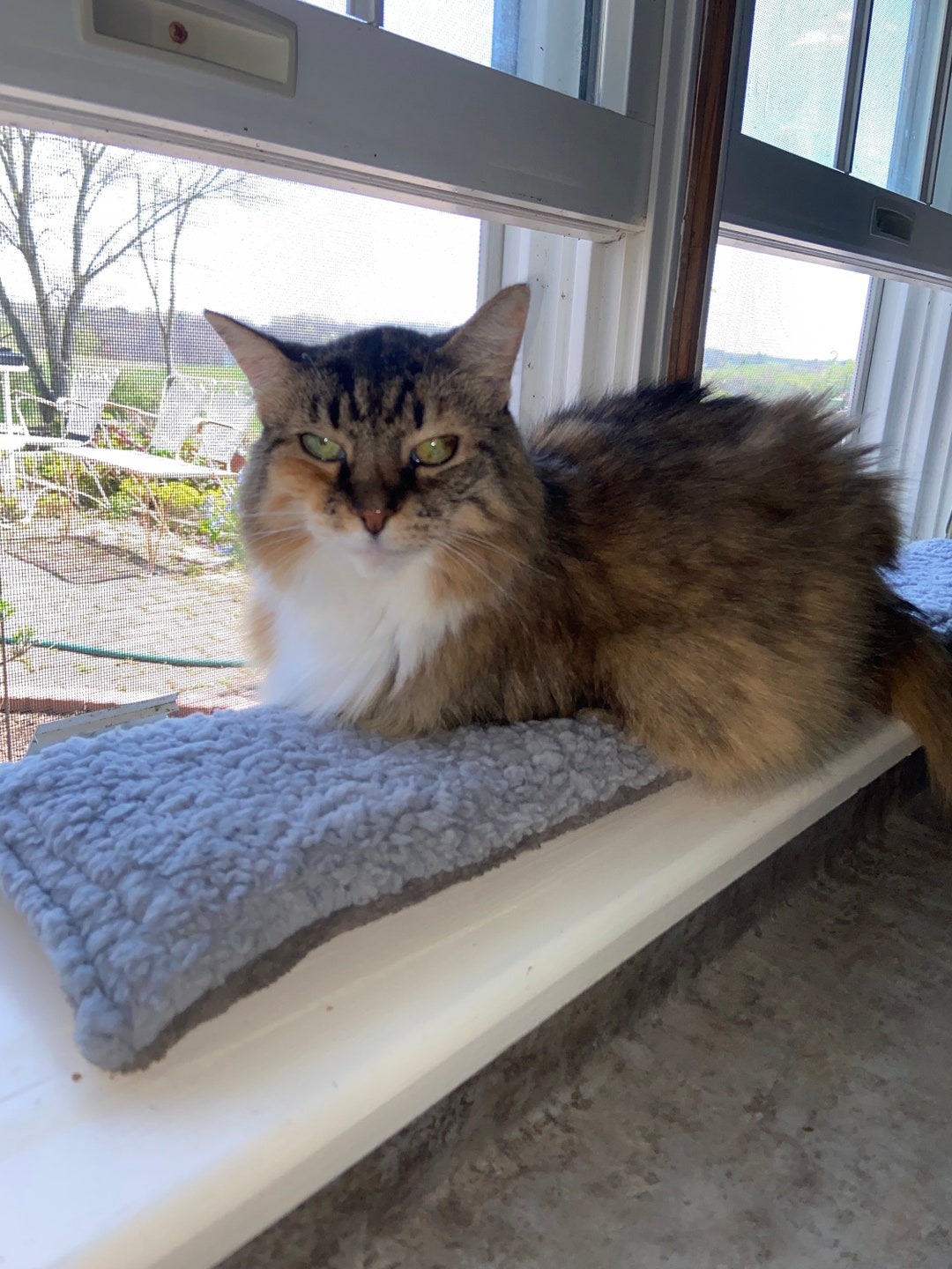 Window Sill Cat Pad 8”/ Pet Window Cushion/ Sill Cushion/ Window ...