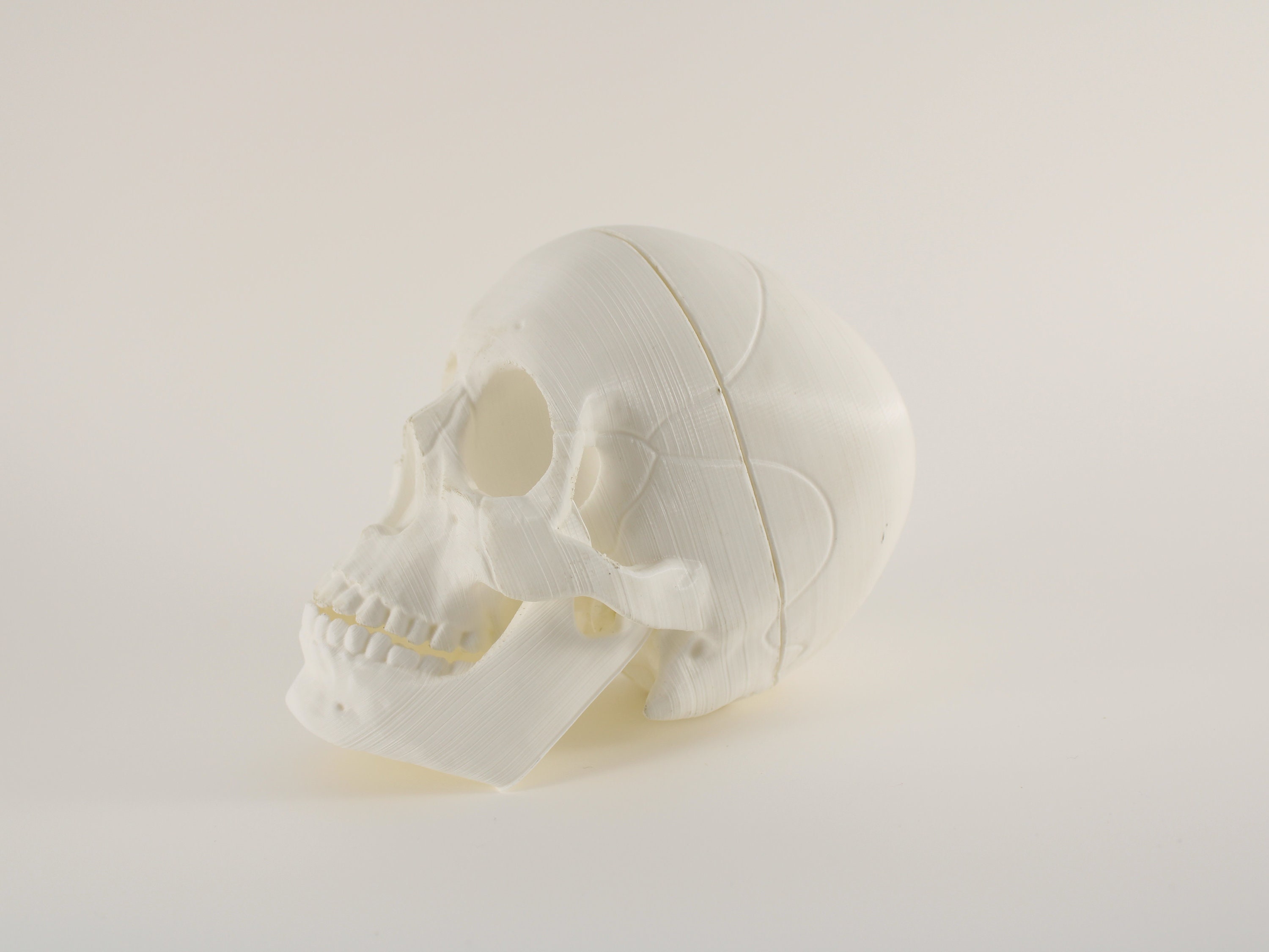3D Printed Skull Human Skull Replica 3dkitbash - Etsy