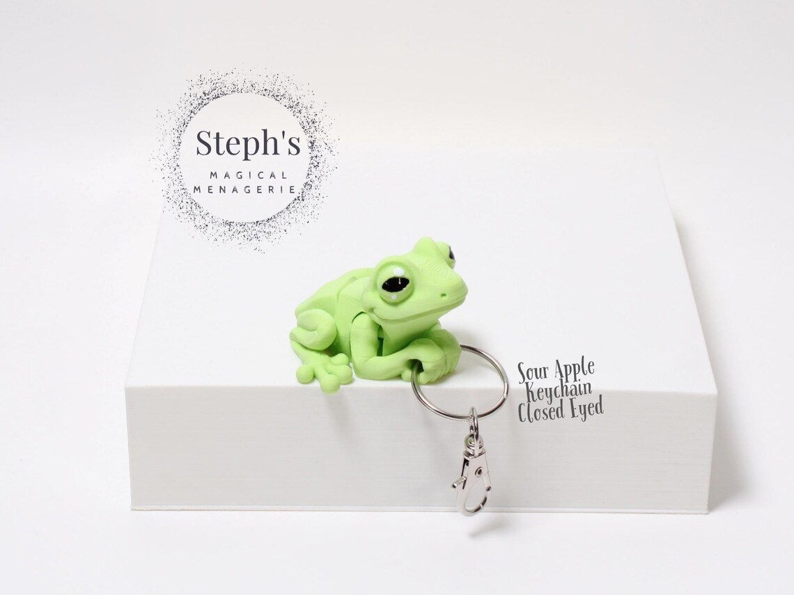 Frog Keychain | Amphibian Pocket Buddy | Hand-painted | Made-to-order ...