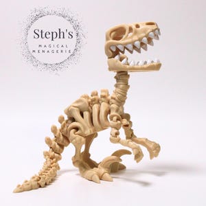 Raptor Fossil | Dinosaur Skeleton Figurine | Hand-painted | Made-to ...