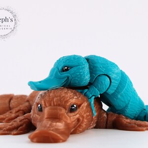 3D Printed Platypus Toy | Platypus | Hand-painted | Made-to-order ...