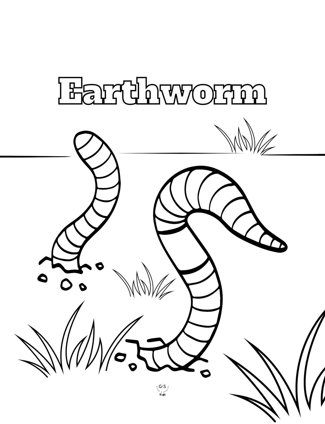 BUGS Coloring Sheets (set 3) for Ages 4- Adult - Etsy