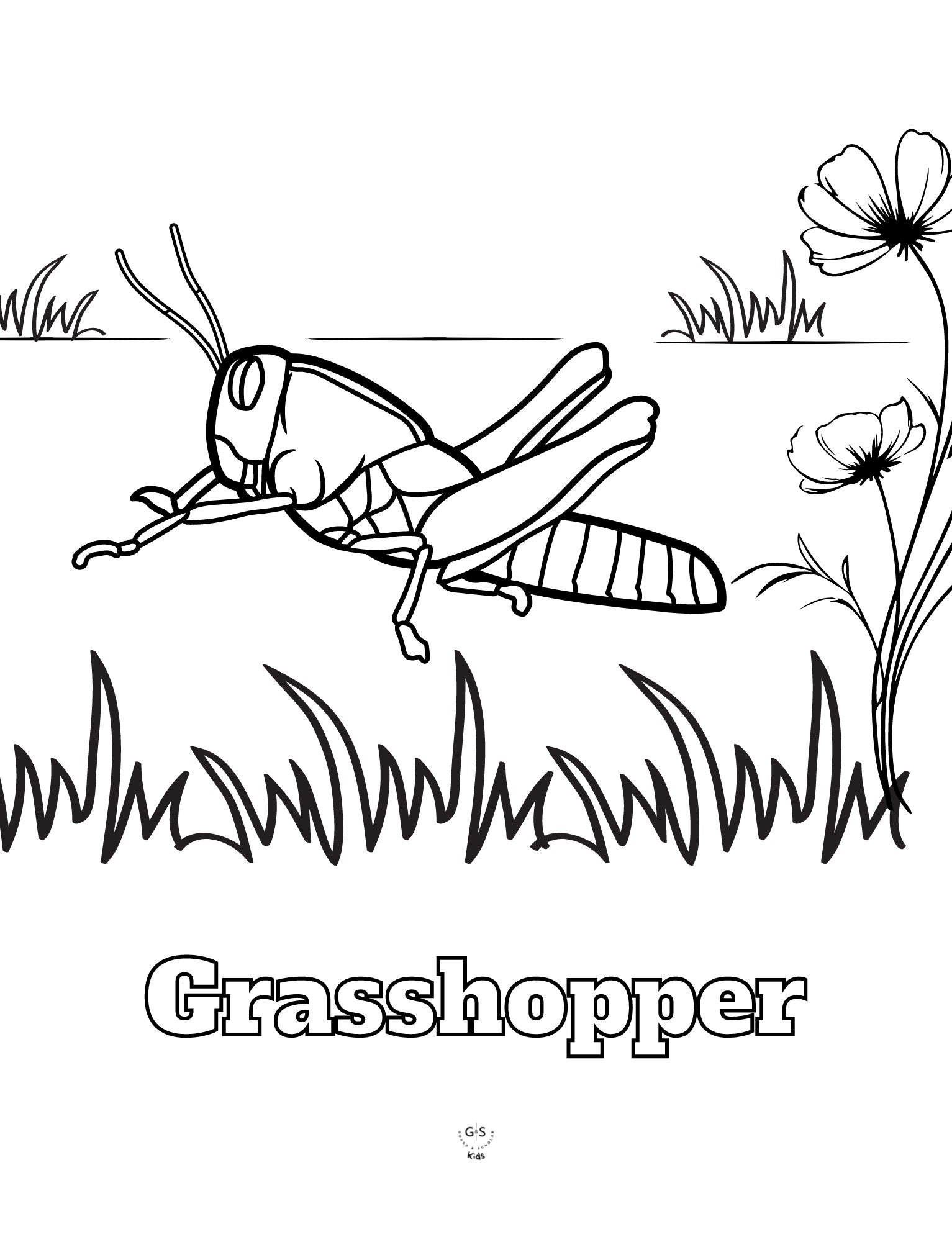 BUGS Coloring Sheets (set 3) for Ages 4- Adult - Etsy