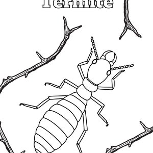 BUGS Coloring Sheets (set 3) for Ages 4- Adult - Etsy