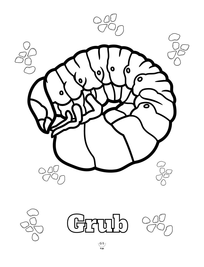 BUGS Coloring Sheets (set 3) for Ages 4- Adult - Etsy