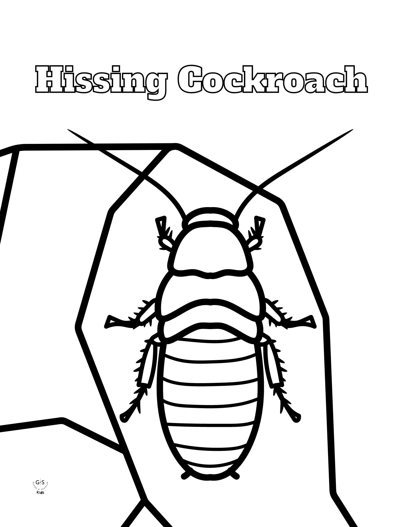 BUGS Coloring Sheets (set 2) for Ages 4-adult - Etsy