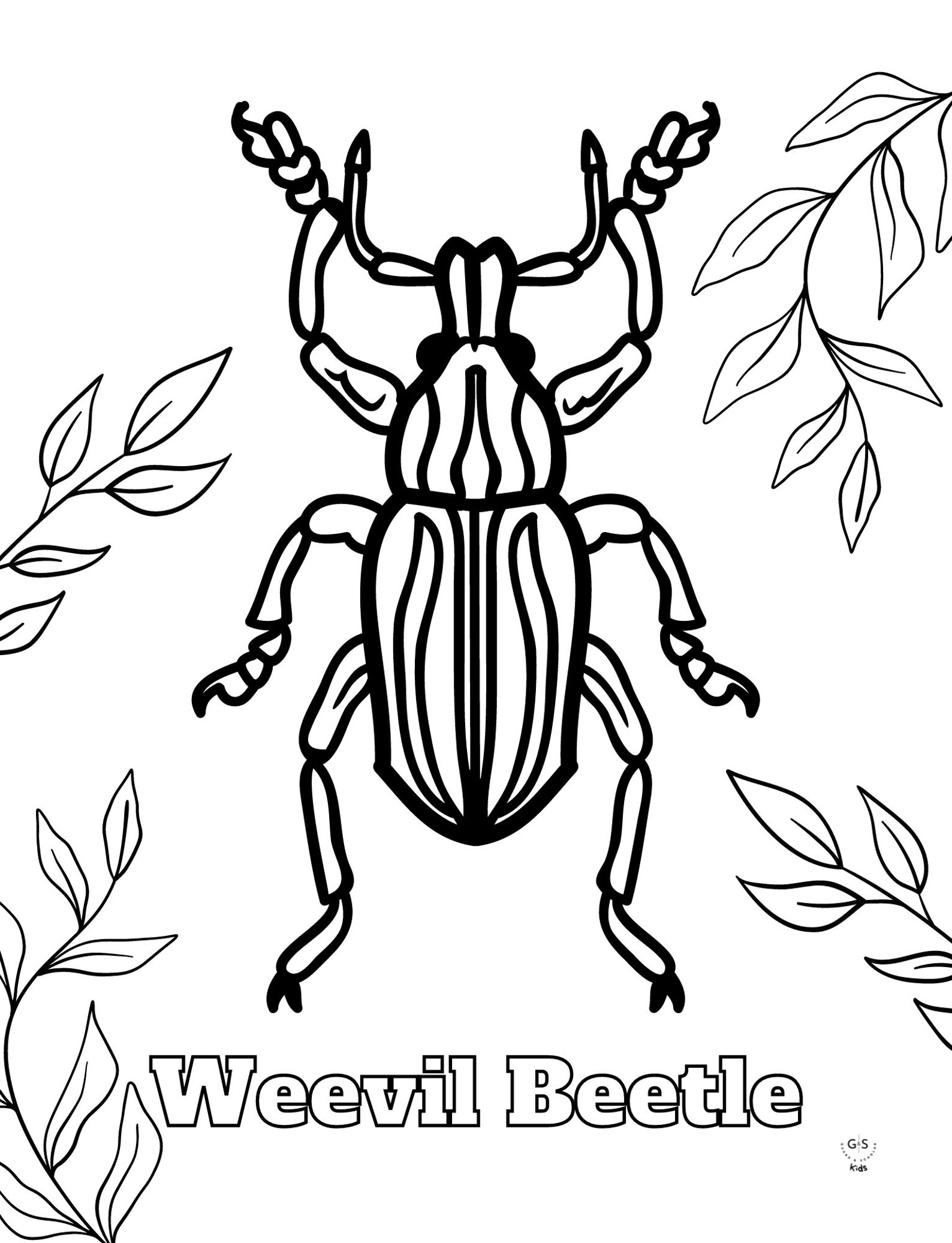 BUGS Coloring Sheets (set 3) for Ages 4- Adult - Etsy