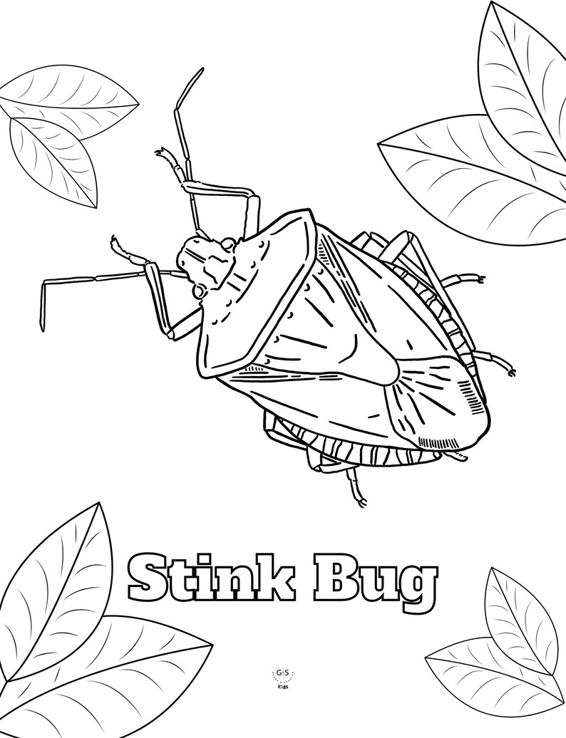 BUGS Coloring Sheets (set 1) - Etsy
