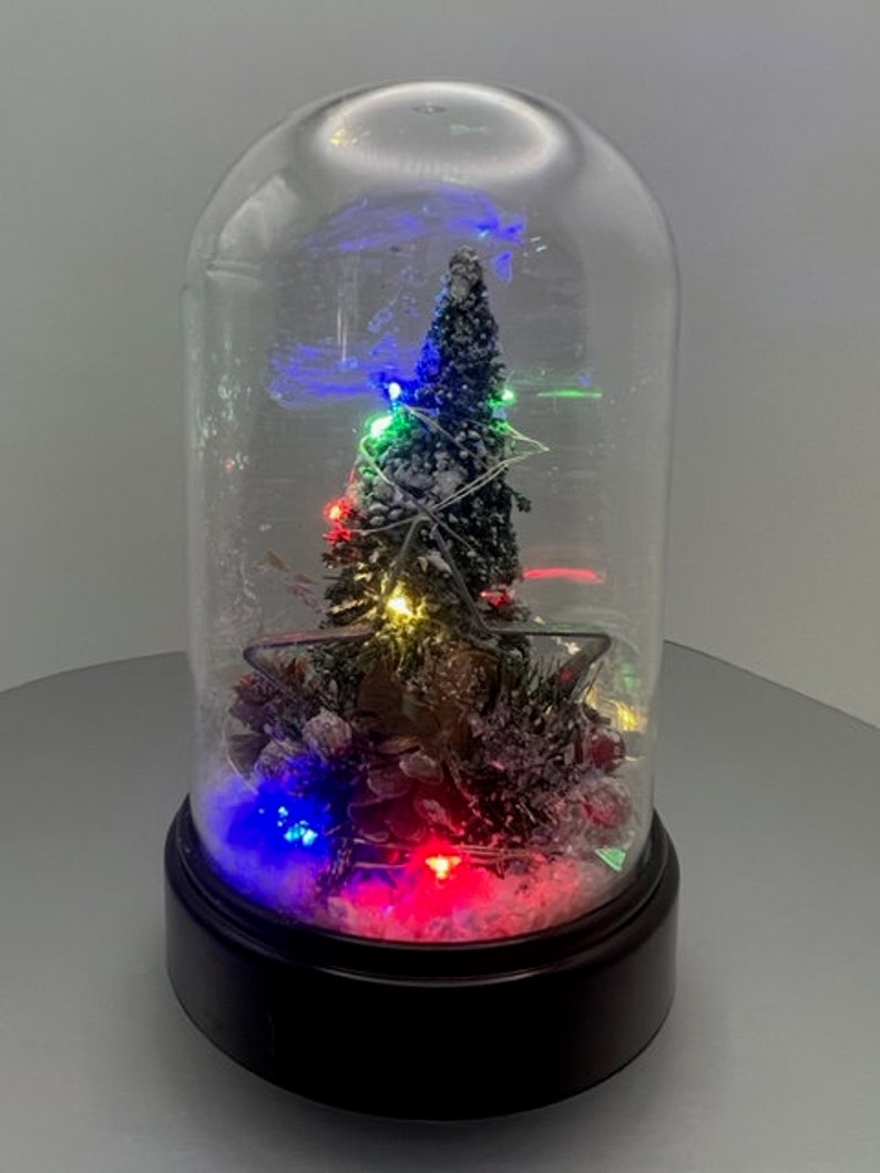 Acrylic Snow Dome With Battery Operated Lights. Snow, Trees, Snowmen ...