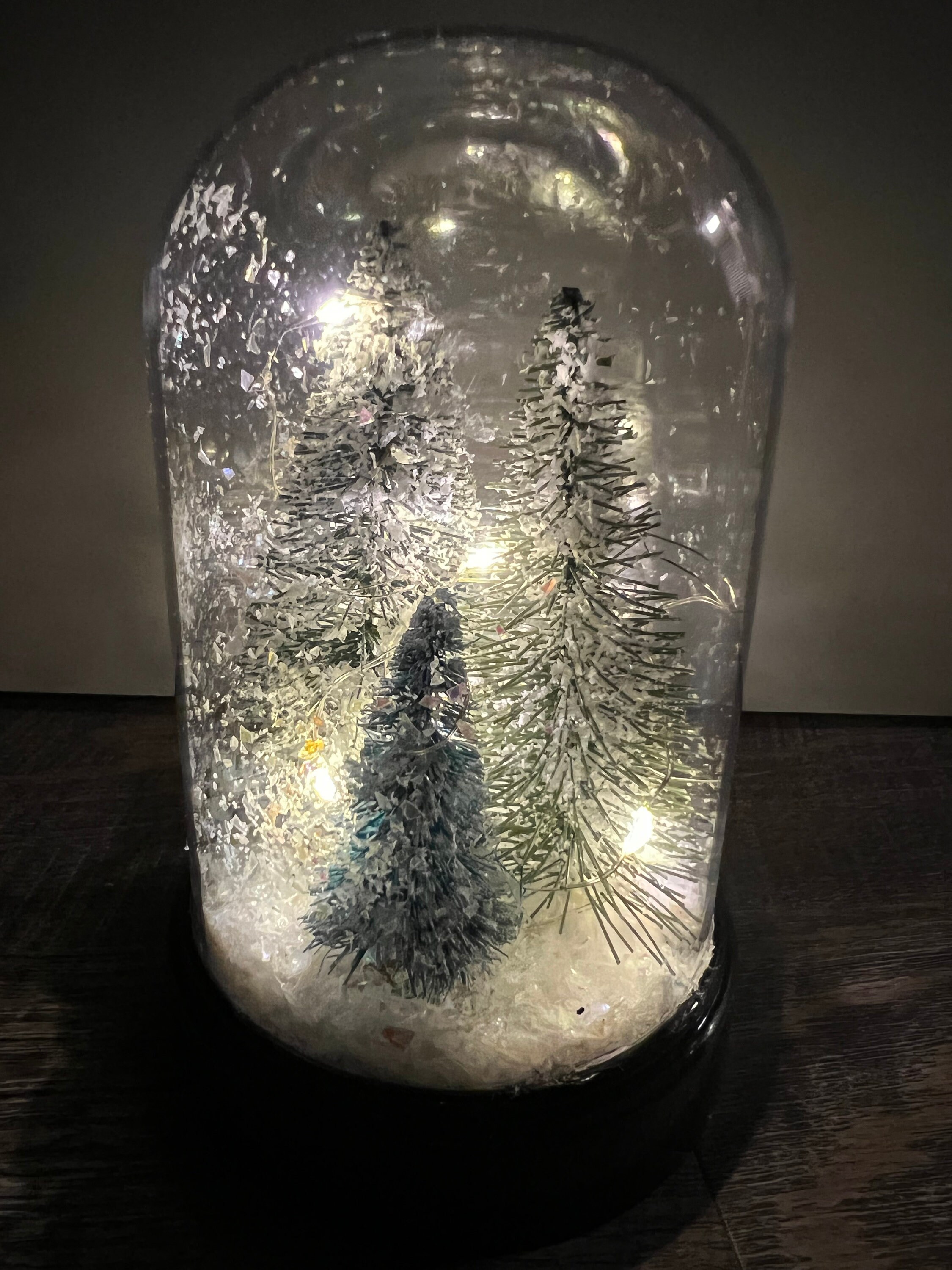 Acrylic Snow Dome With Bottle Bush Trees Iridescent Snow Bottle Brush ...