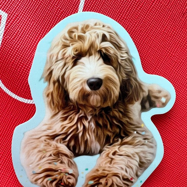 Mini Goldendoodle - Etsy