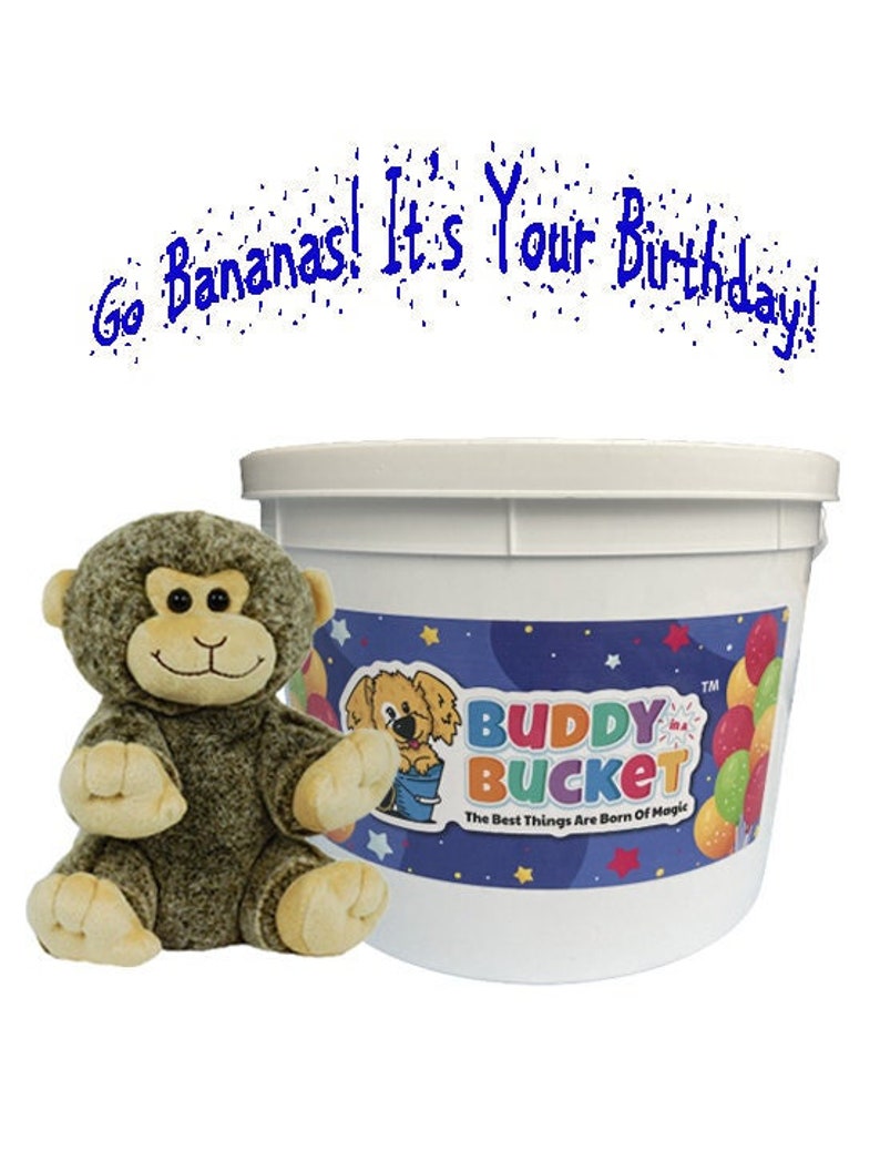 Buddy in A Bucket, Birthday Bucket, Fun Birthday Ideas, Birthday ...