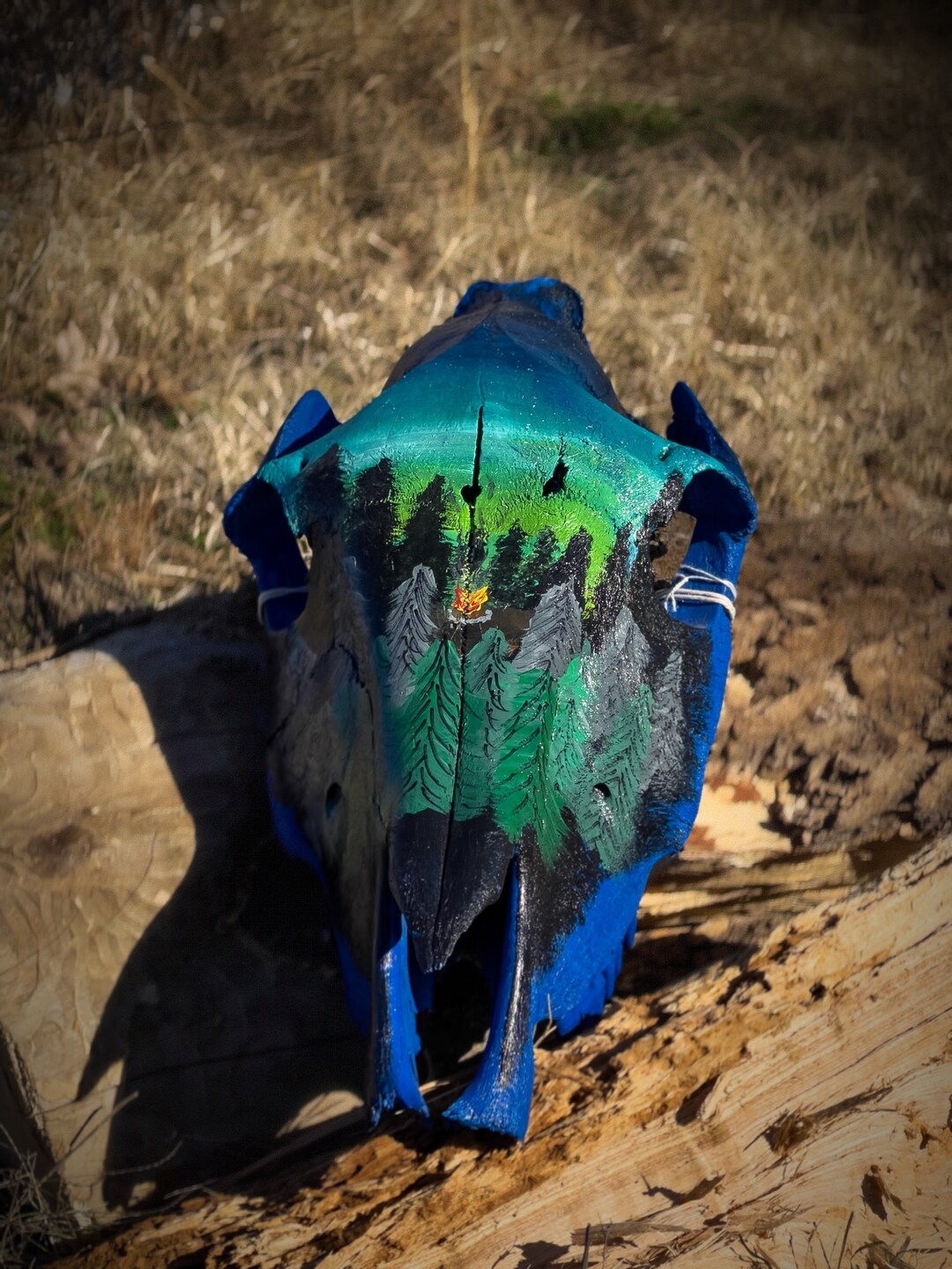 Hand Painted Horse Skull - Etsy