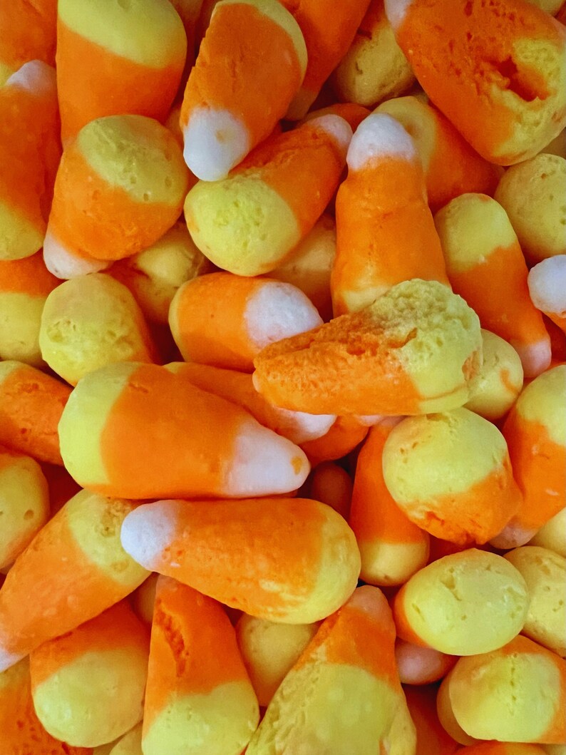 Freeze Dried Corn Caps Made From Candy Corn - Etsy