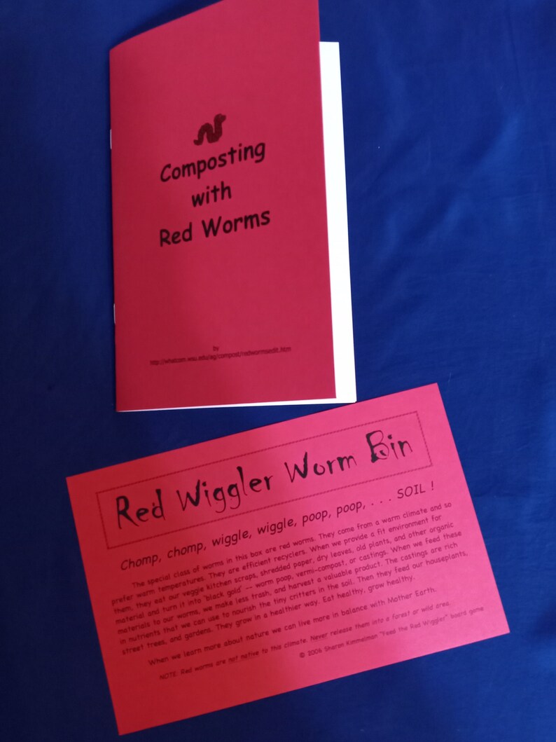 Feed the Red Wiggler, a Fun Board Game Teaching About the Importance of ...