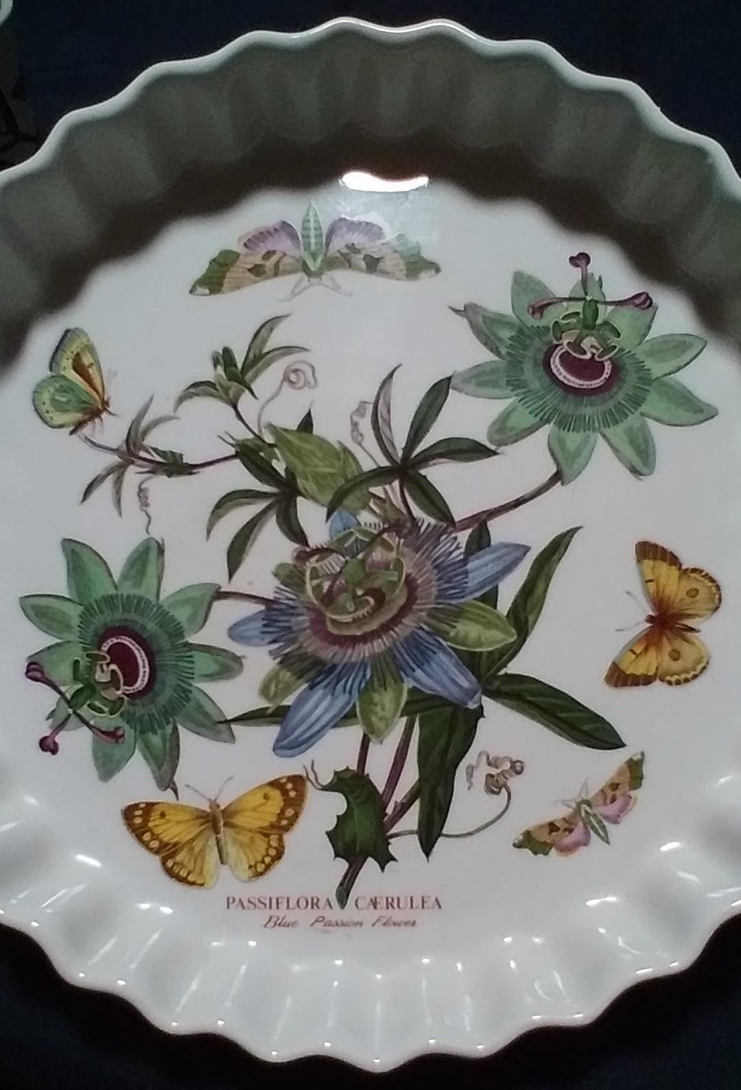 PORTMEIRION the Botanic Garden – Pottery for Special Occasions - Etsy