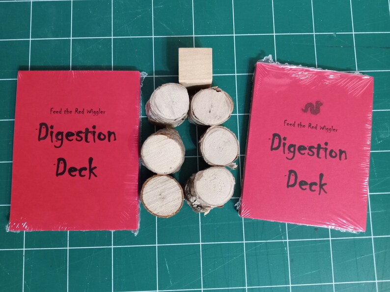 Feed the Red Wiggler, a Fun Board Game Teaching About the Importance of ...