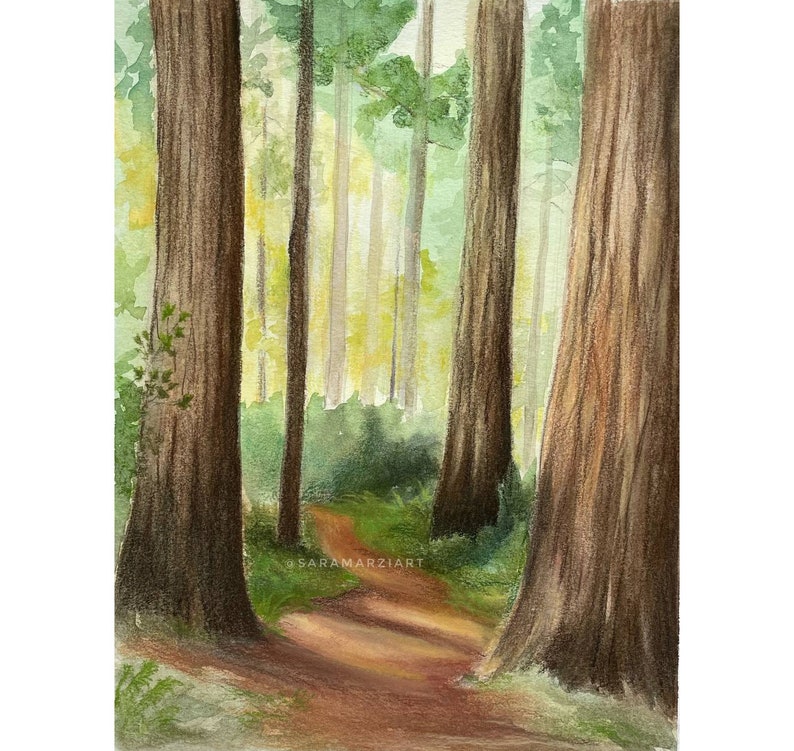 Redwood Forest Art Print 8x10 Inches - Original Landscape Fine Art ...