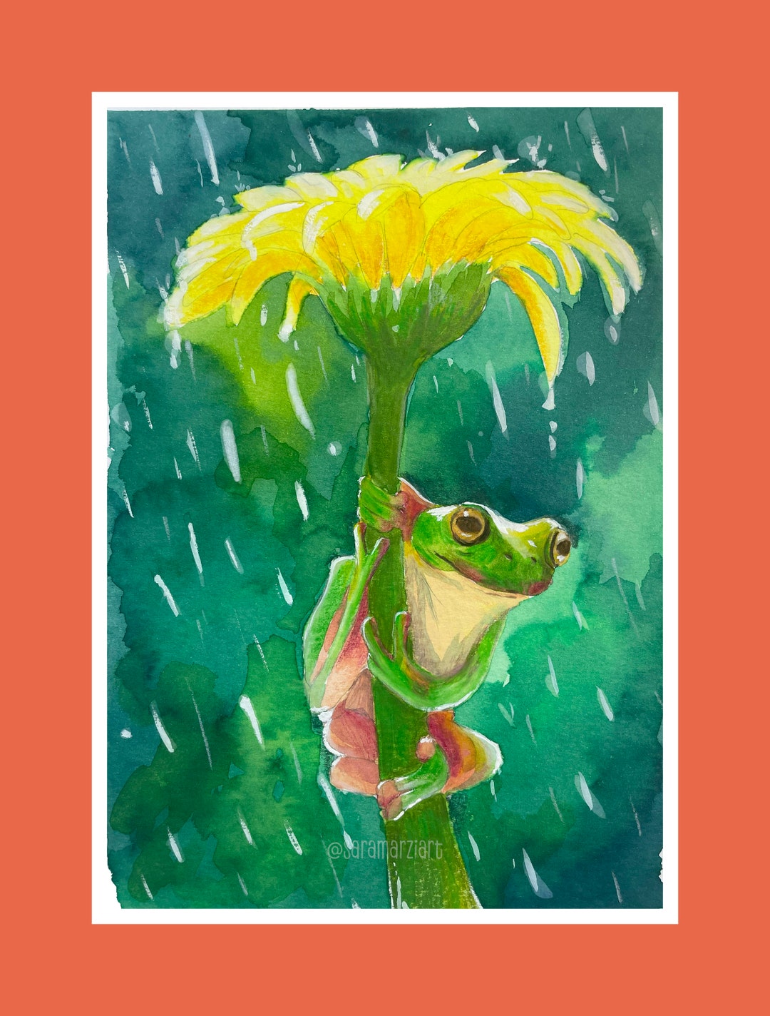 Frog, Flower, and Rain - Original Animal - Wall Art, Home Decor - Etsy