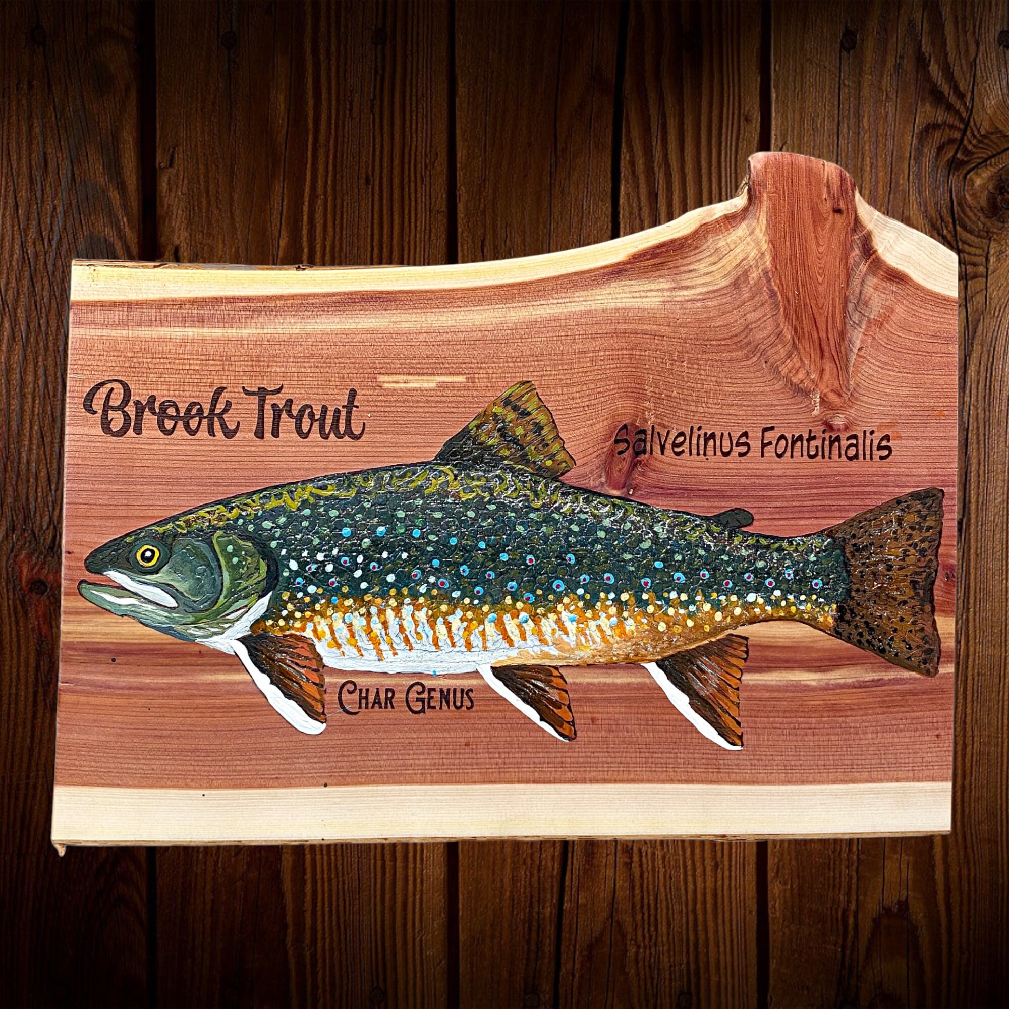 Brook Trout Hand Painted Custom Engraved Wood Sign - Etsy