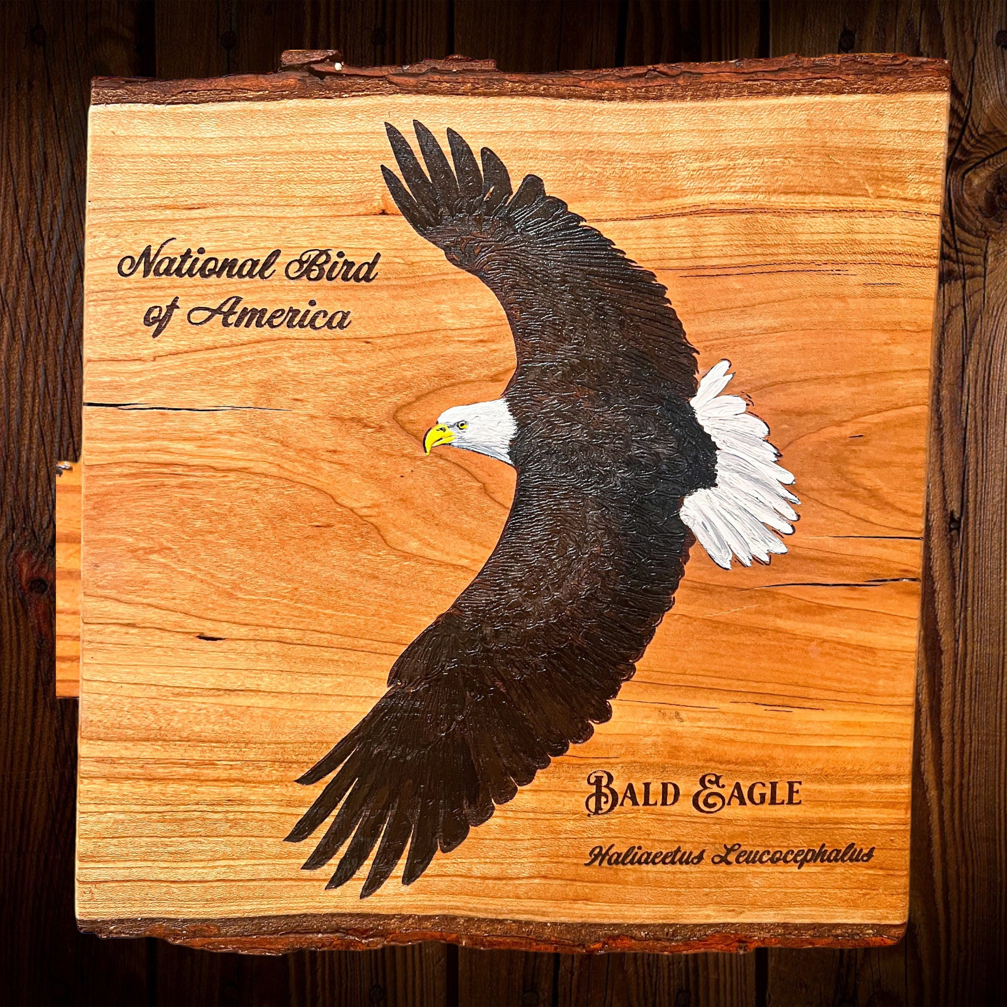 Bald Eagle national Bird of America Hand Painted Custom Engraved Wood ...
