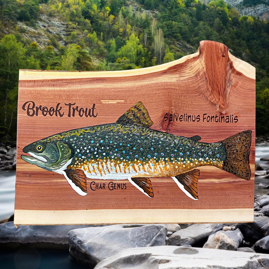 Brook Trout Hand Painted Custom Engraved Wood Sign - Etsy