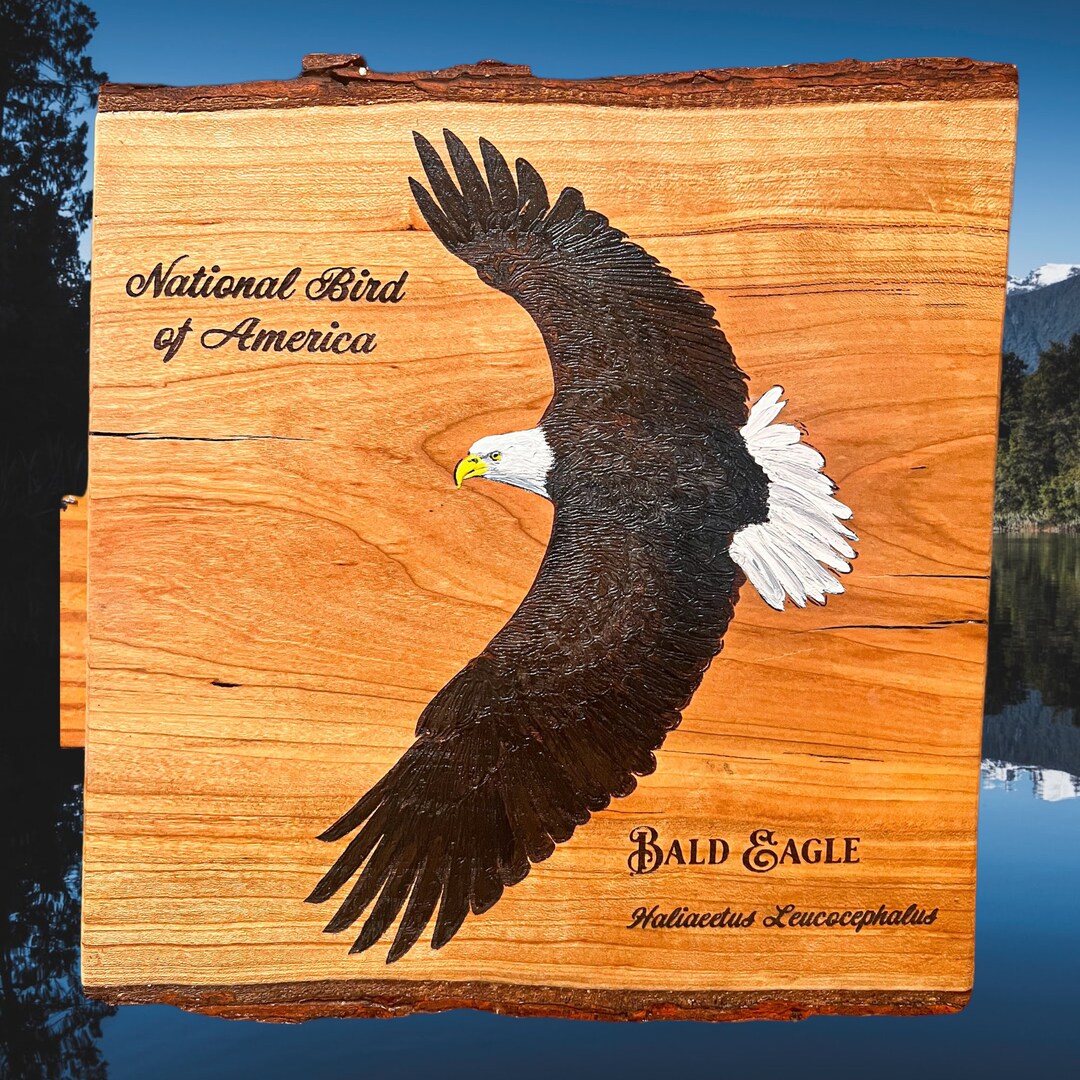 Bald Eagle national Bird of America Hand Painted Custom Engraved Wood ...