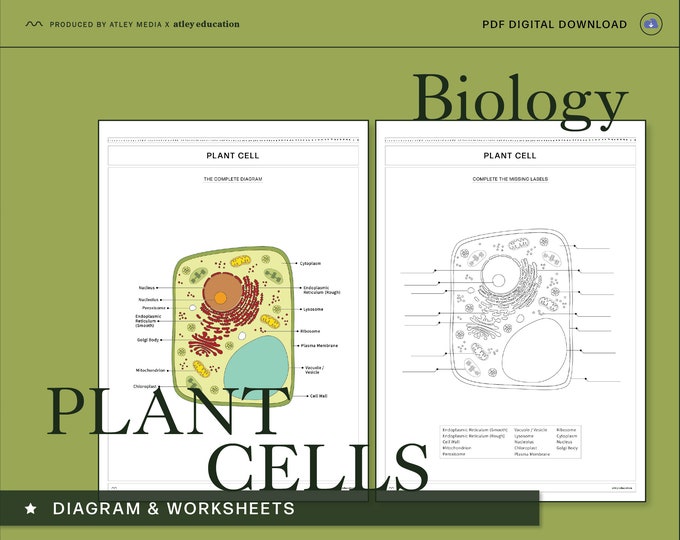 Plant Cell Biology Worksheet - Etsy Canada