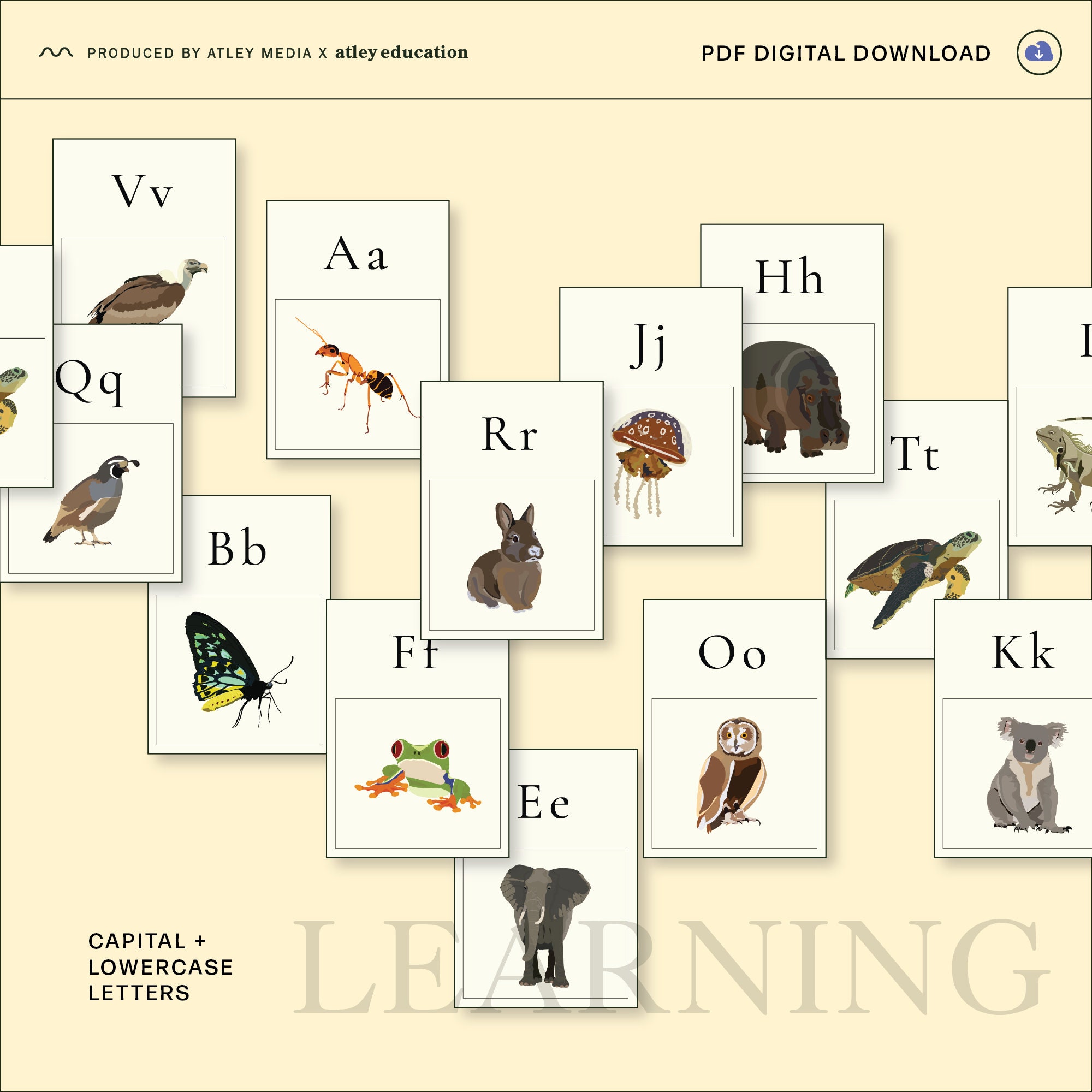 ABC Alphabet Cards - Word Wall Classroom Décor Pack | Alphabet Letters ...