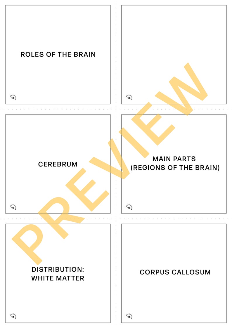 The Human Brain Flashcards - Science Educational Resource - Exam Prep ...