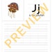Phonics Animal Alphabet Tracing & Writing Worksheets - Letter Formation ...