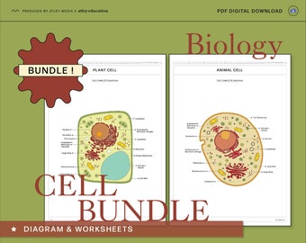 Plant Cell Biology Worksheet - Etsy