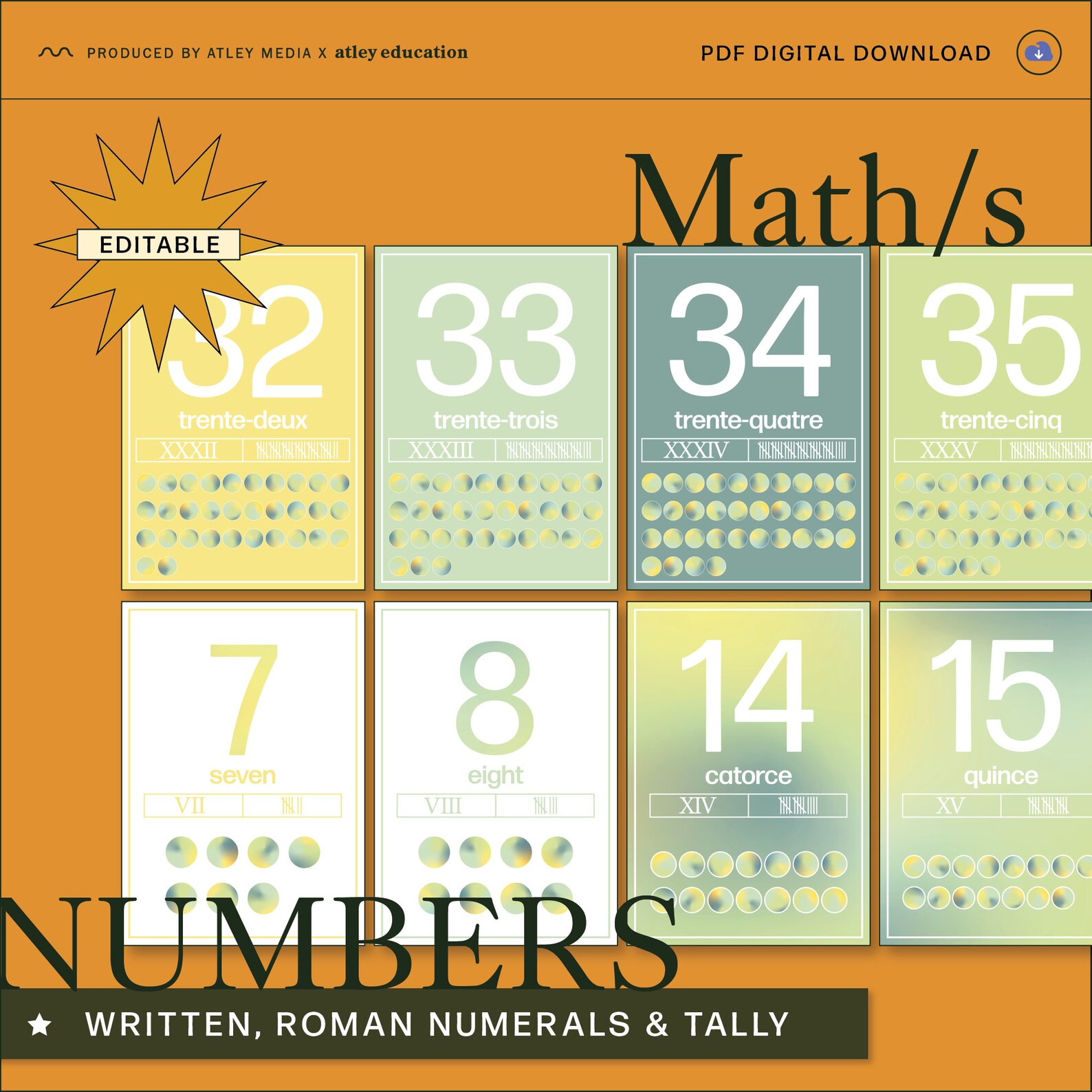 EDITABLE Number Cards - Written, Roman Numerals & Tally Format - Light ...