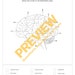 The Human Brain Diagram & Worksheets Science Educational Resource - Etsy