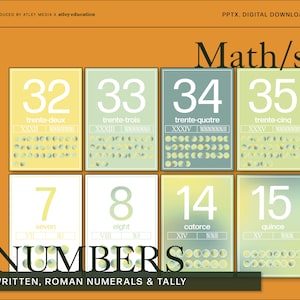 EDITABLE Number Cards - Written, Roman Numerals & Tally Format - Light ...