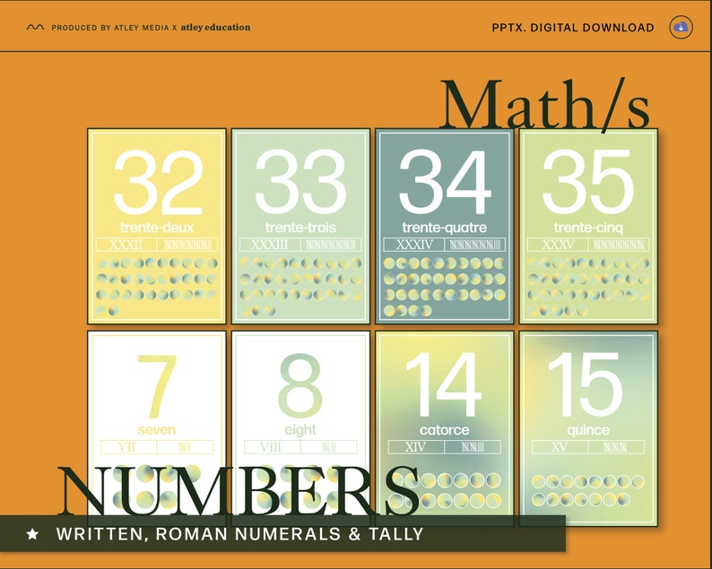 EDITABLE Number Cards - Written, Roman Numerals & Tally Format - Light ...
