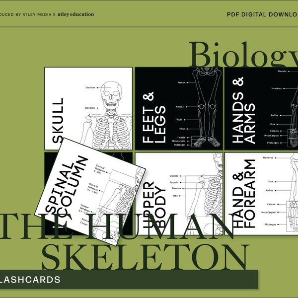 Anatomy Flashcards - Etsy